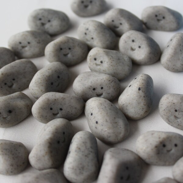 Pet Rock - Etsy