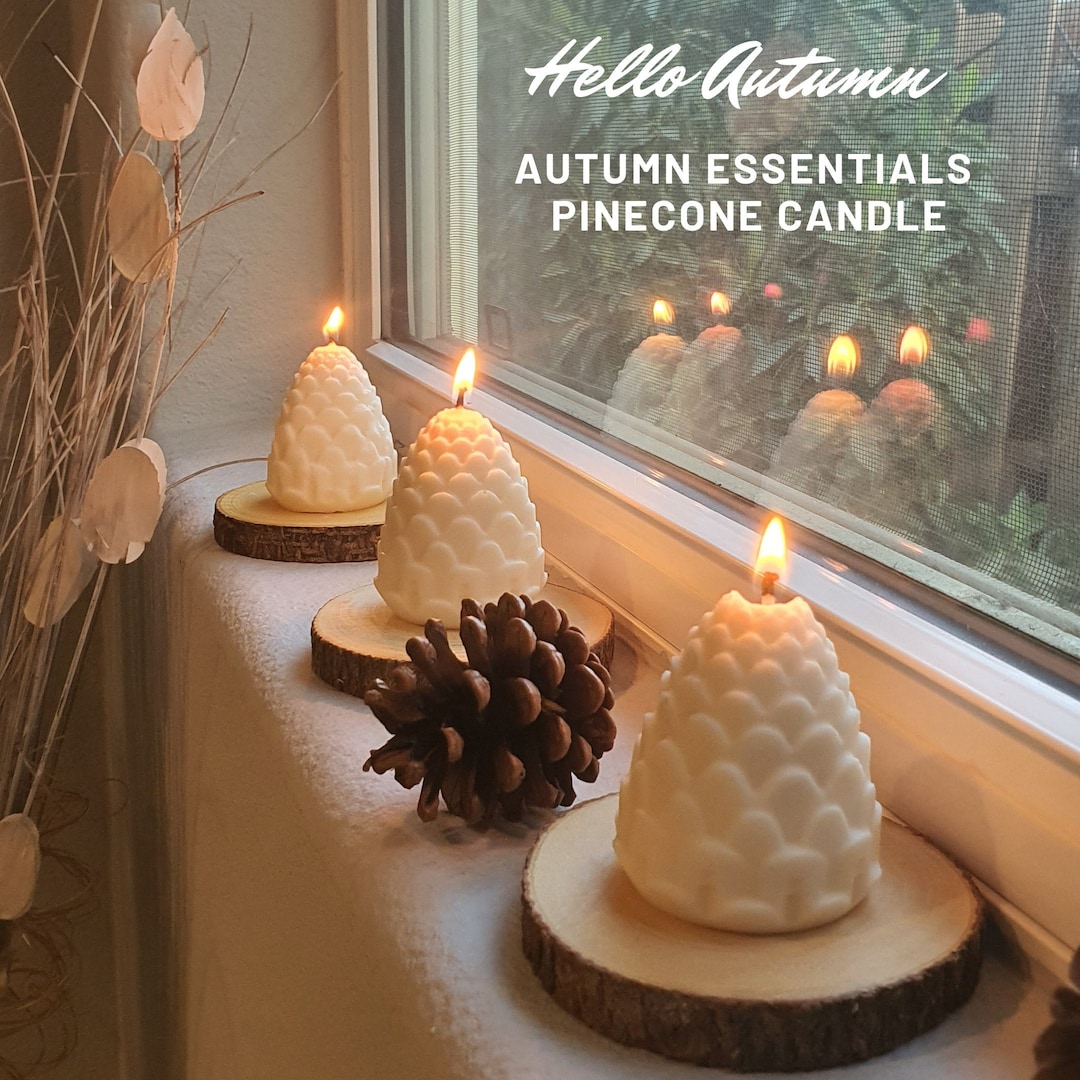 Set of 4/100% All Natural /pinecone Candle Set /soy Wax Candle /scented ...