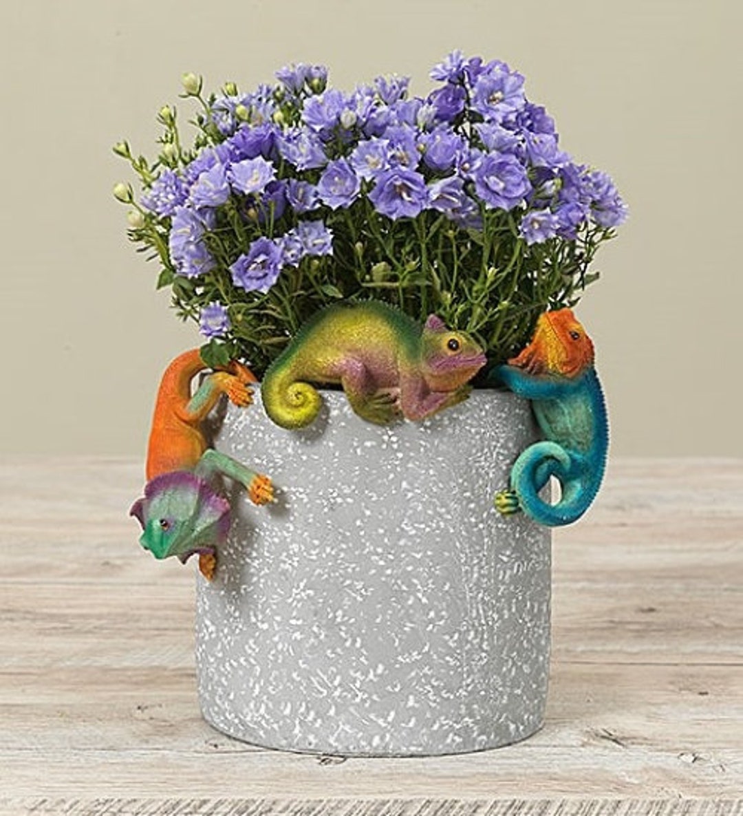 Miniature Fairy Garden Set of 3 Colorful Lizard Pot Huggers - Etsy