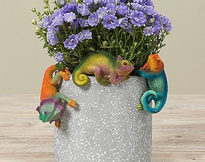 Miniature Fairy Garden Set of 3 Colorful Lizard Pot Huggers - Etsy
