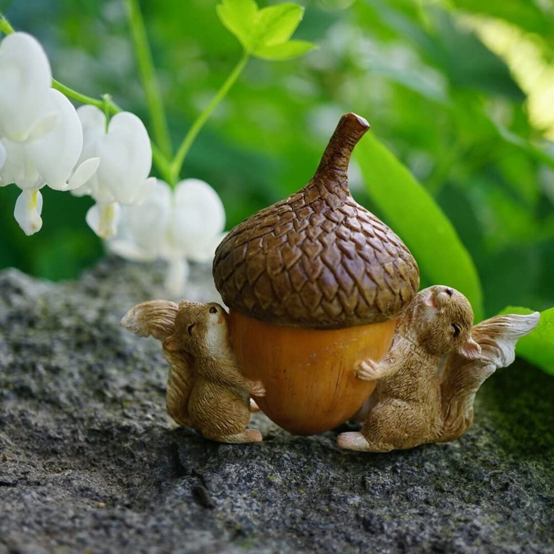 Miniature Fairy Garden Squirrels Carrying Acorn Trinket Box - Etsy