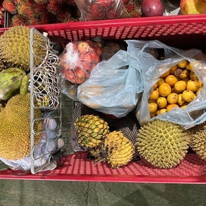 SEEDS// Soncoya / Sincuya / Cabeza De Negro Fruta annona Purpurea 100% ...