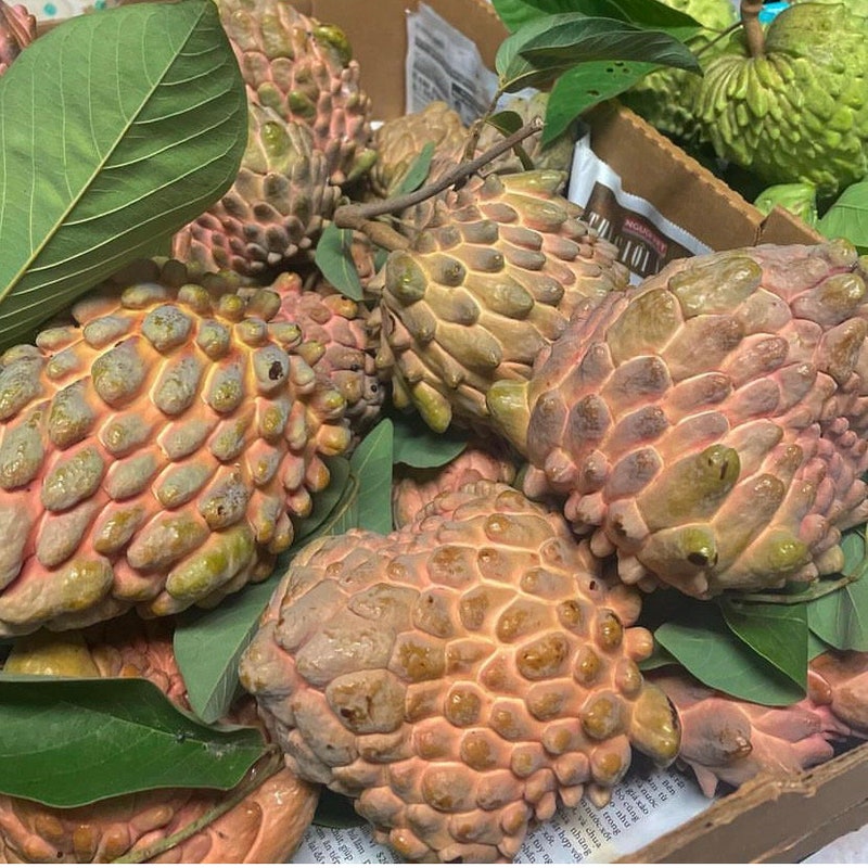 Rare Exotic Seeds - Etsy