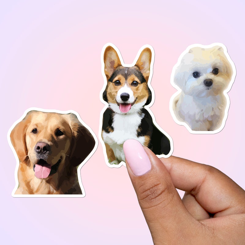 Custom Pet Stickers - Etsy