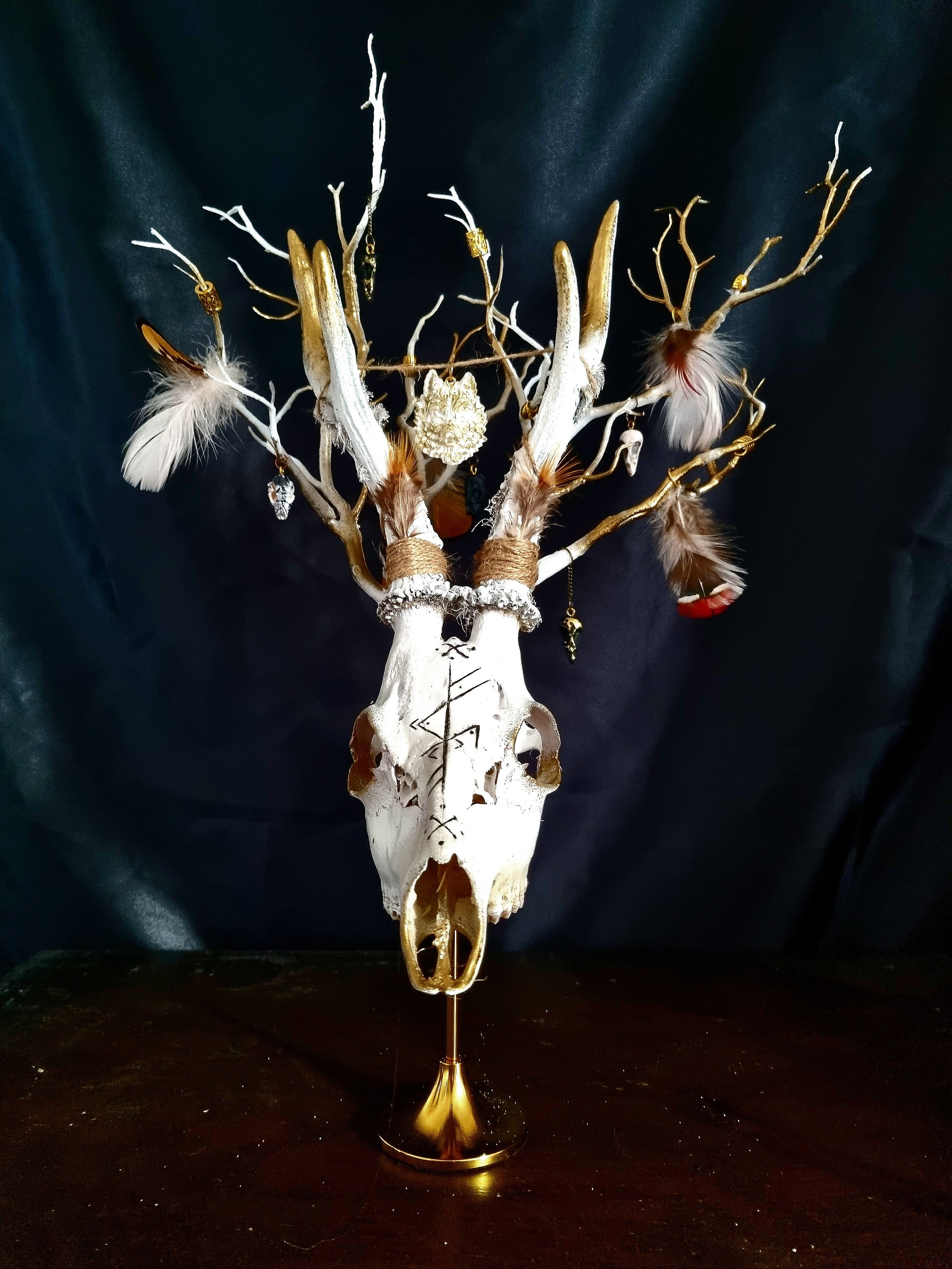 Freya's Whispers - Real Roe Deer Skull Viking Inspired - Etsy