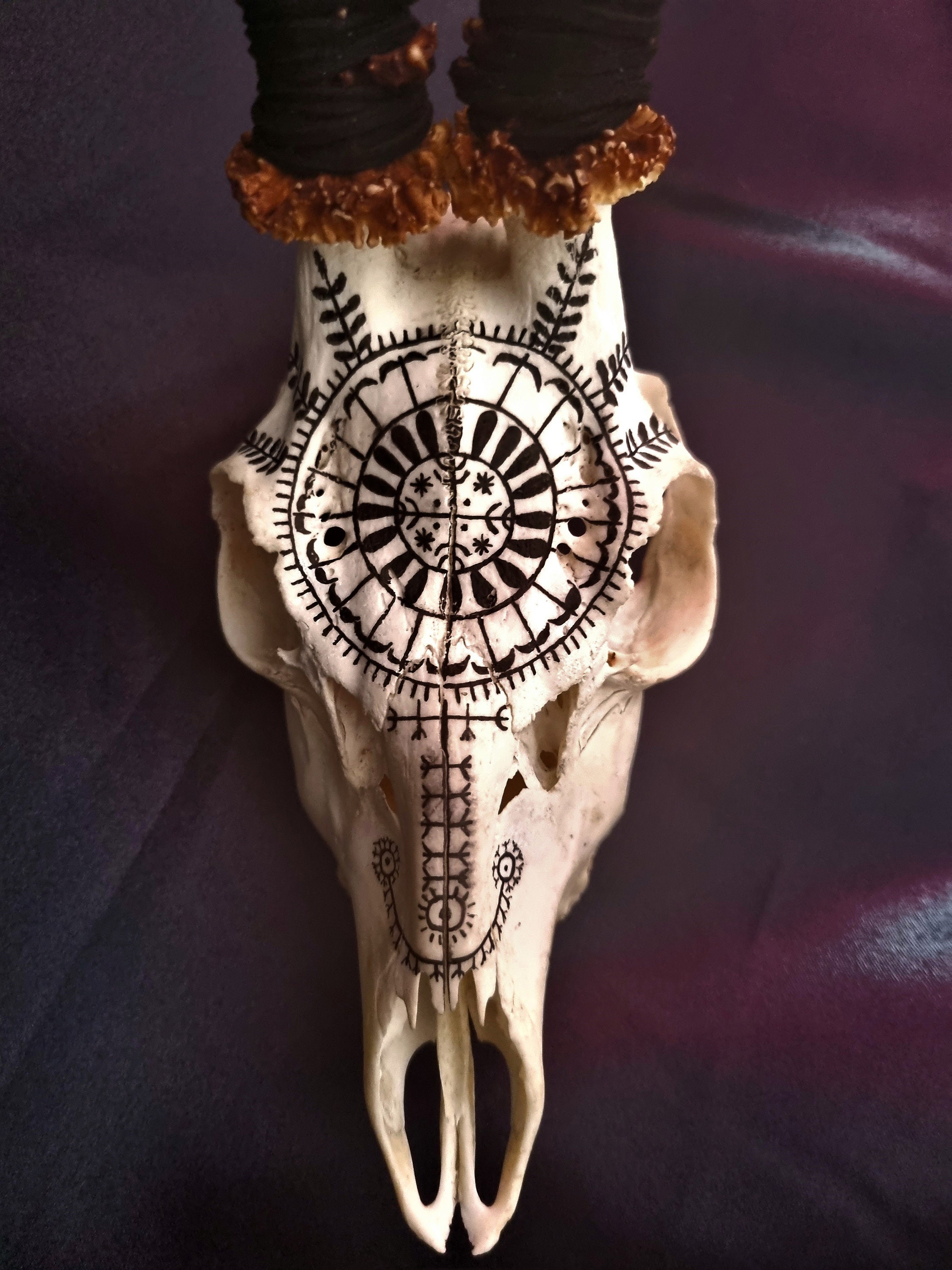 Real Roe Deer Skull Hand Painted Traditional Old Slavic Pagan Symbols ...