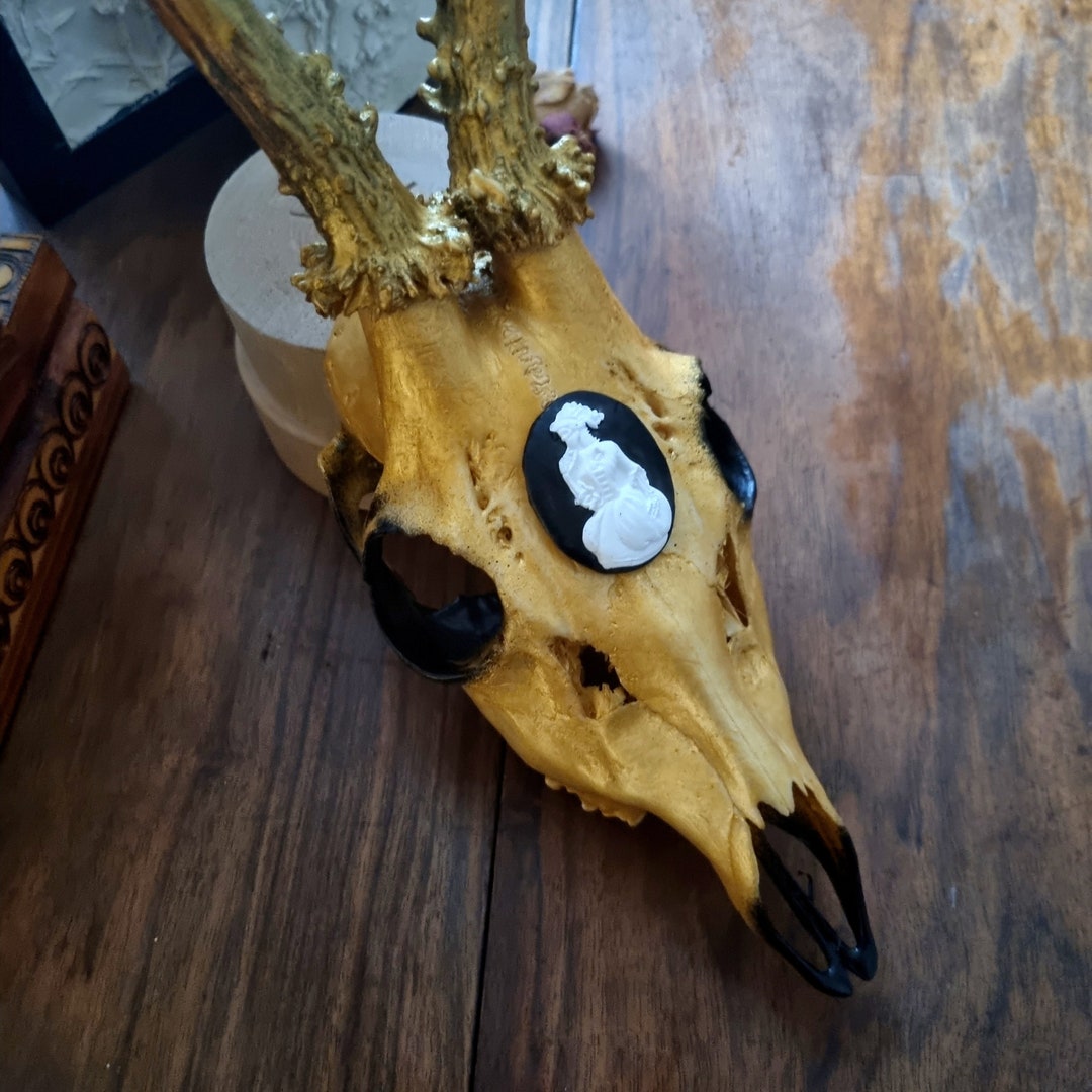 Real Roe Deer Skull With Antlers Hand Painted Gold With Lady Death Goth ...