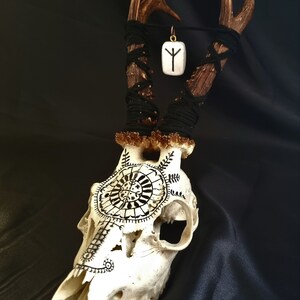 Real Roe Deer Skull Hand Painted Traditional Old Slavic Pagan Symbols ...