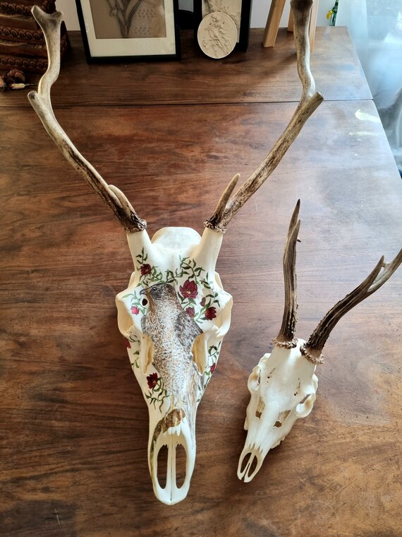 Decorated Deer Skulls Painted Euro Mounts | Archery Talk Forum