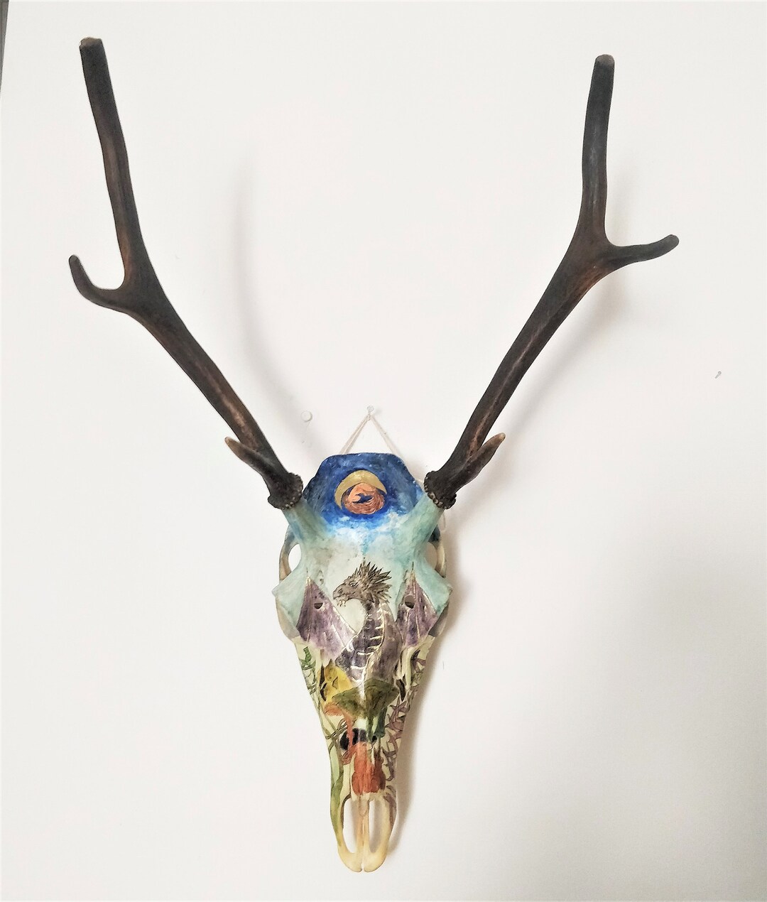 Large Real Fallow Deer Skull With Antlers Hand Painted Enchanted Forest ...