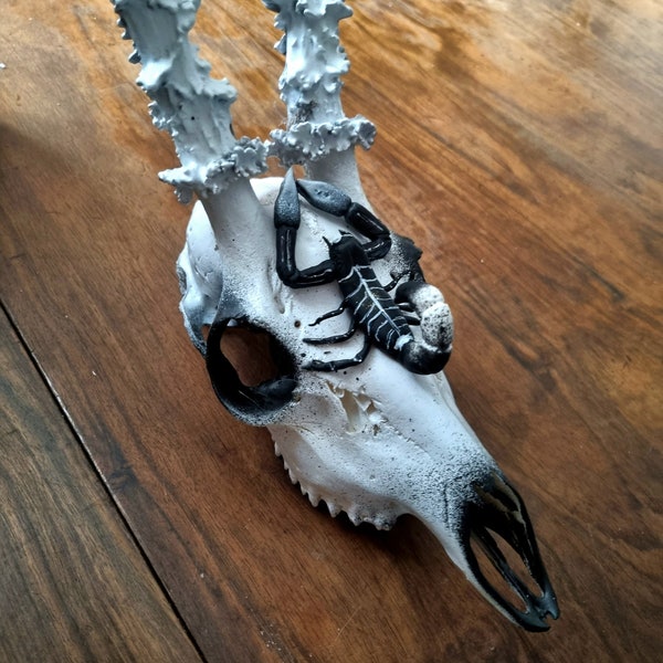 Clay Scorpion - Etsy