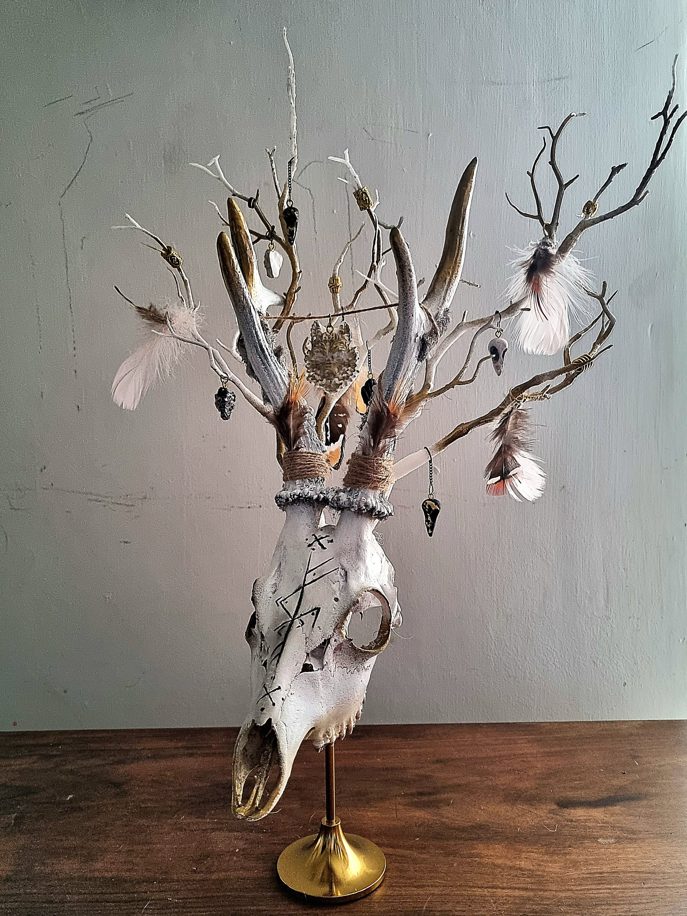 Freya's Whispers - Real Roe Deer Skull Viking Inspired - Etsy