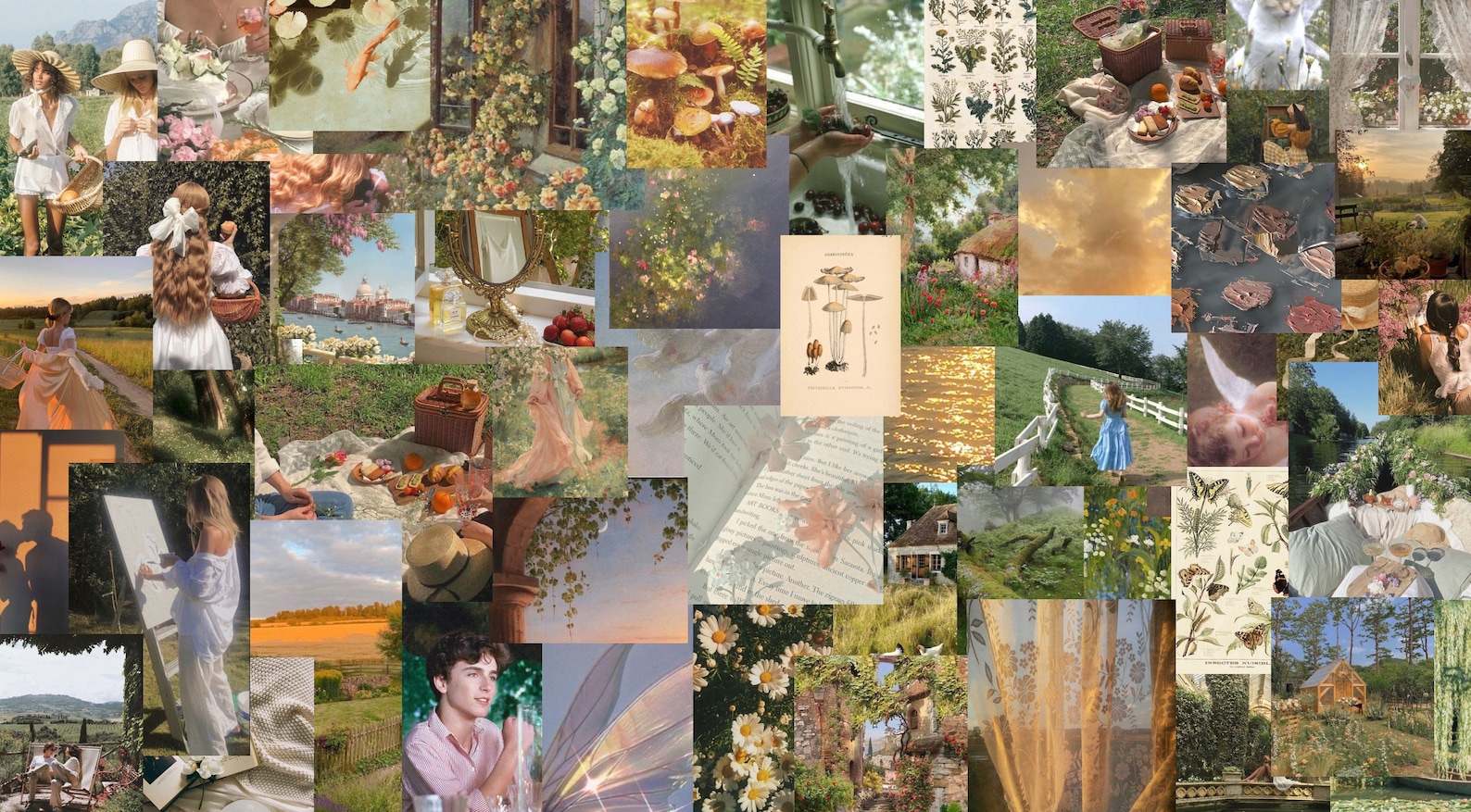 Cottagecore Aesthetic Wall Collage 60 Pcs Etsy New Zealand