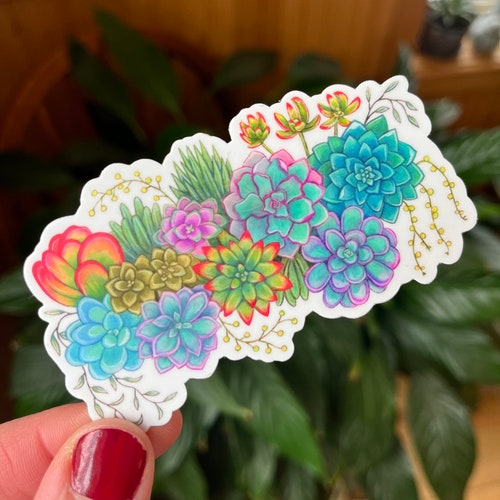 Succulent Sticker Vinyl Sticker Succulents Plant Lover - Etsy