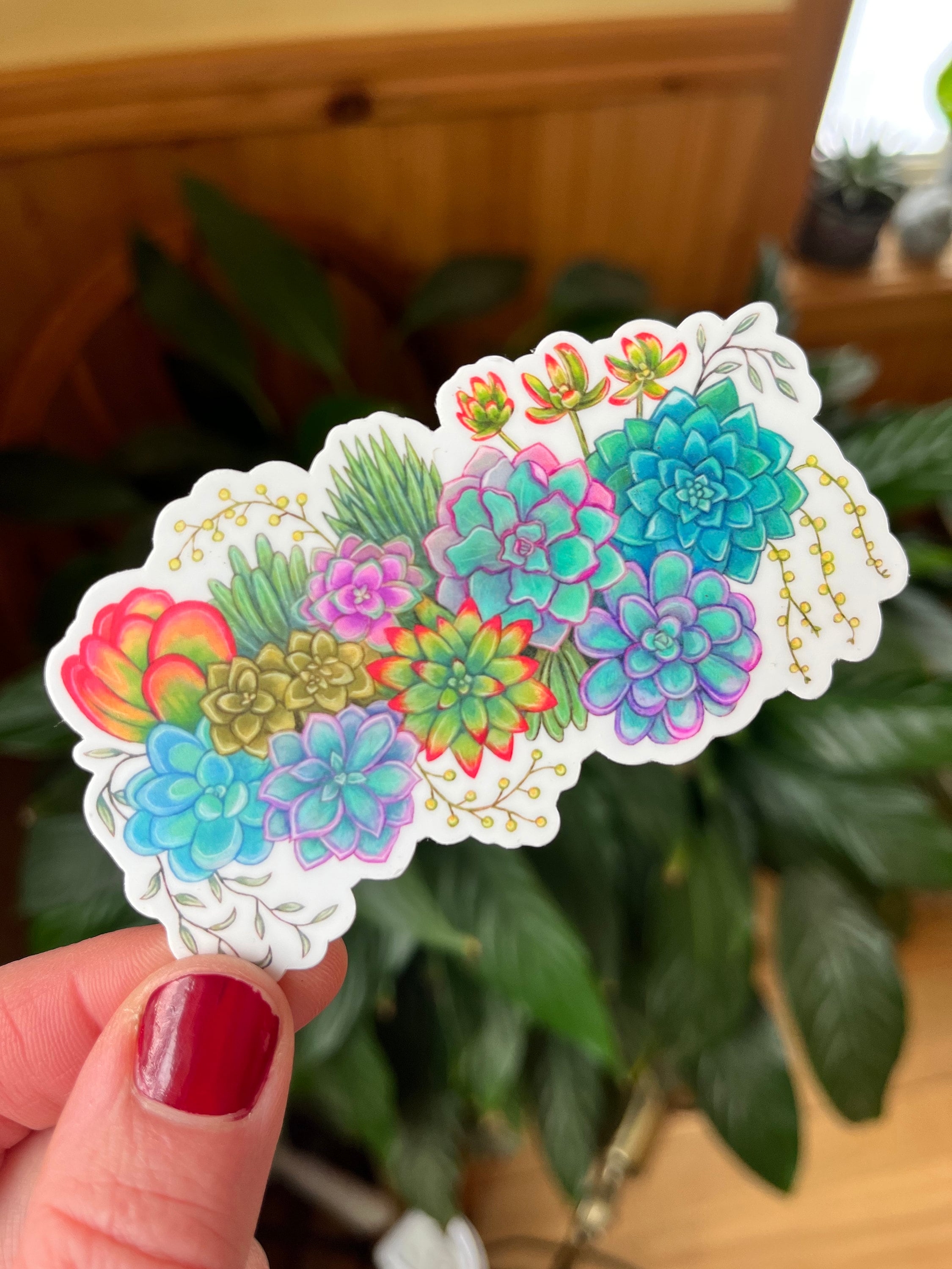 Succulent Sticker Vinyl Sticker Succulents Plant Lover - Etsy