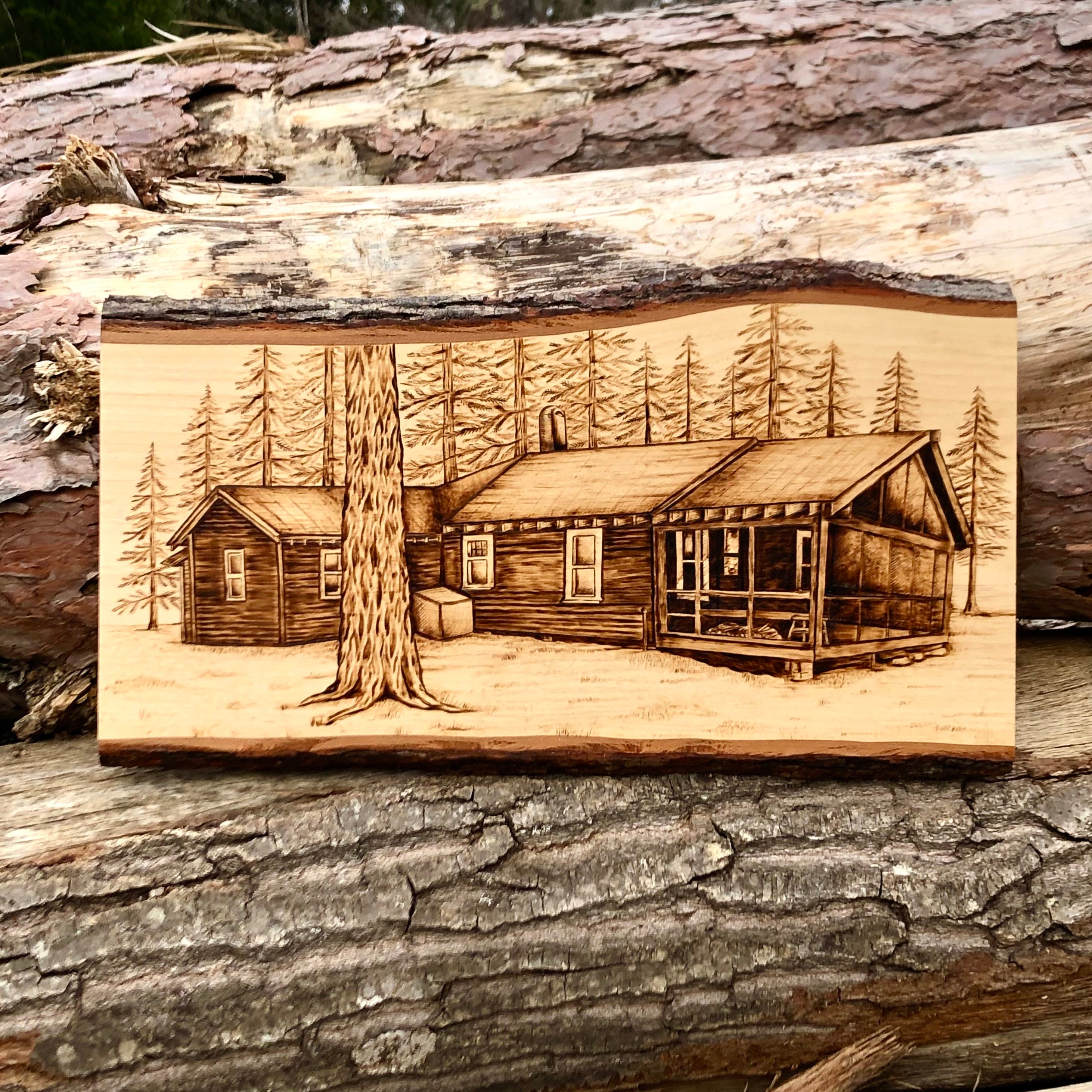 Custom House Portrait Wood Burned Portrait Cabin Portrait - Etsy