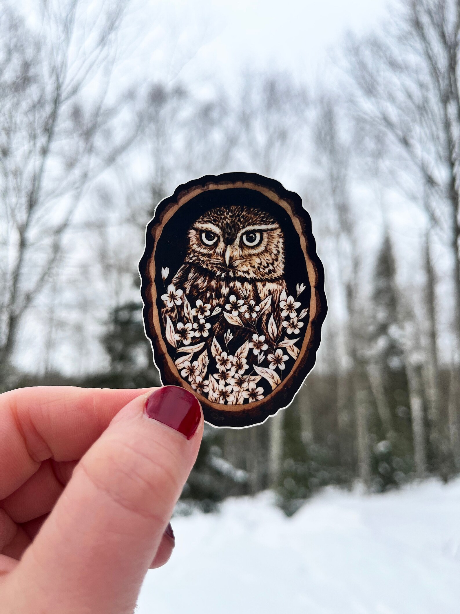 Owl Vinyl Sticker, Waterproof, Decal, Laptop Accessory, Water Bottle ...