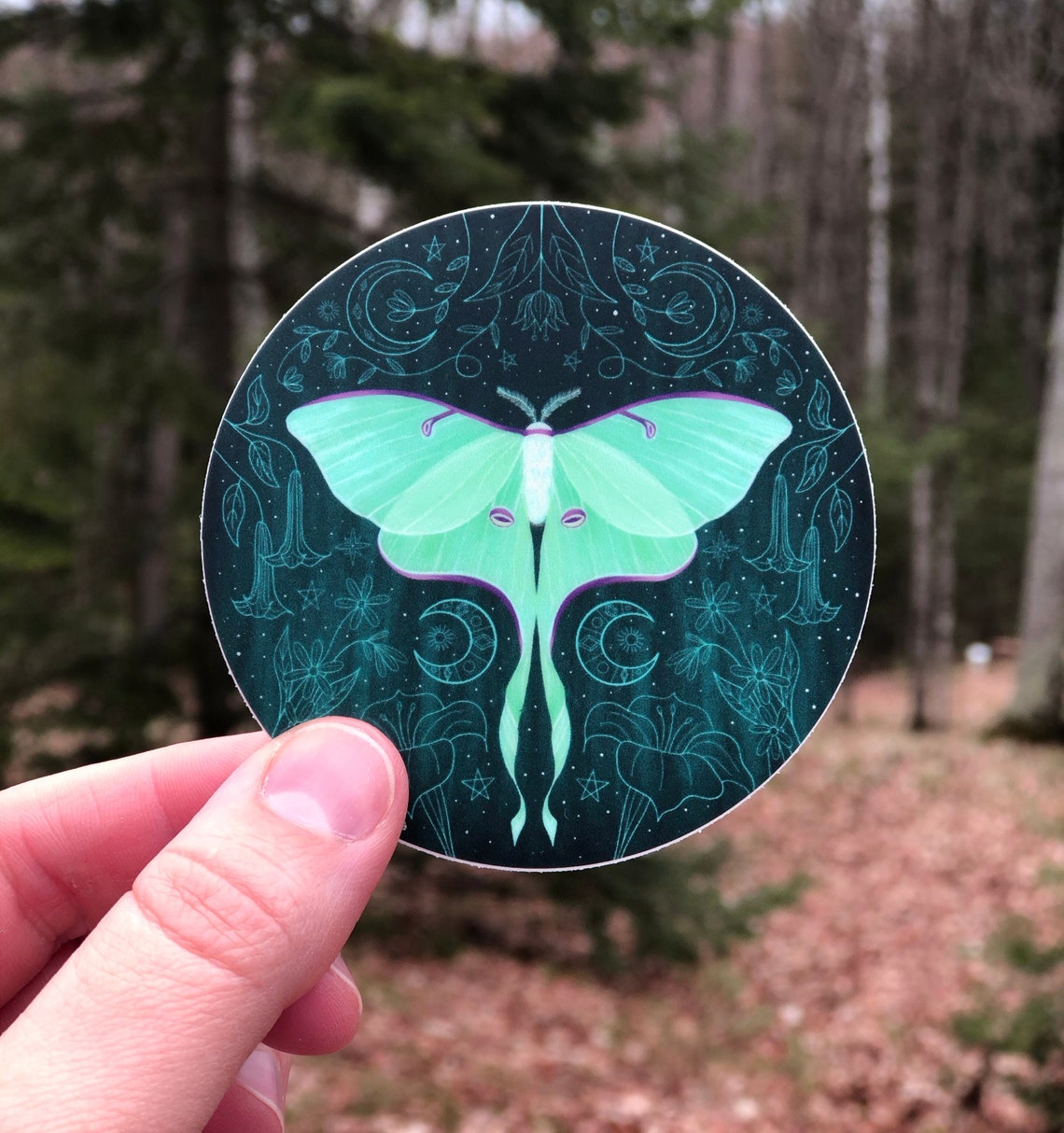 Vinyl Sticker Luna Moth Sticker Waterproof and Weather | Etsy