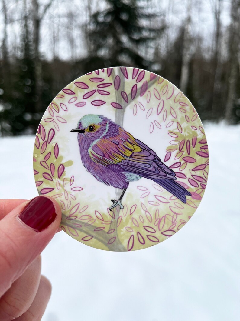 Vinyl Sticker Bird Sticker Colorful Bird Waterproof and - Etsy