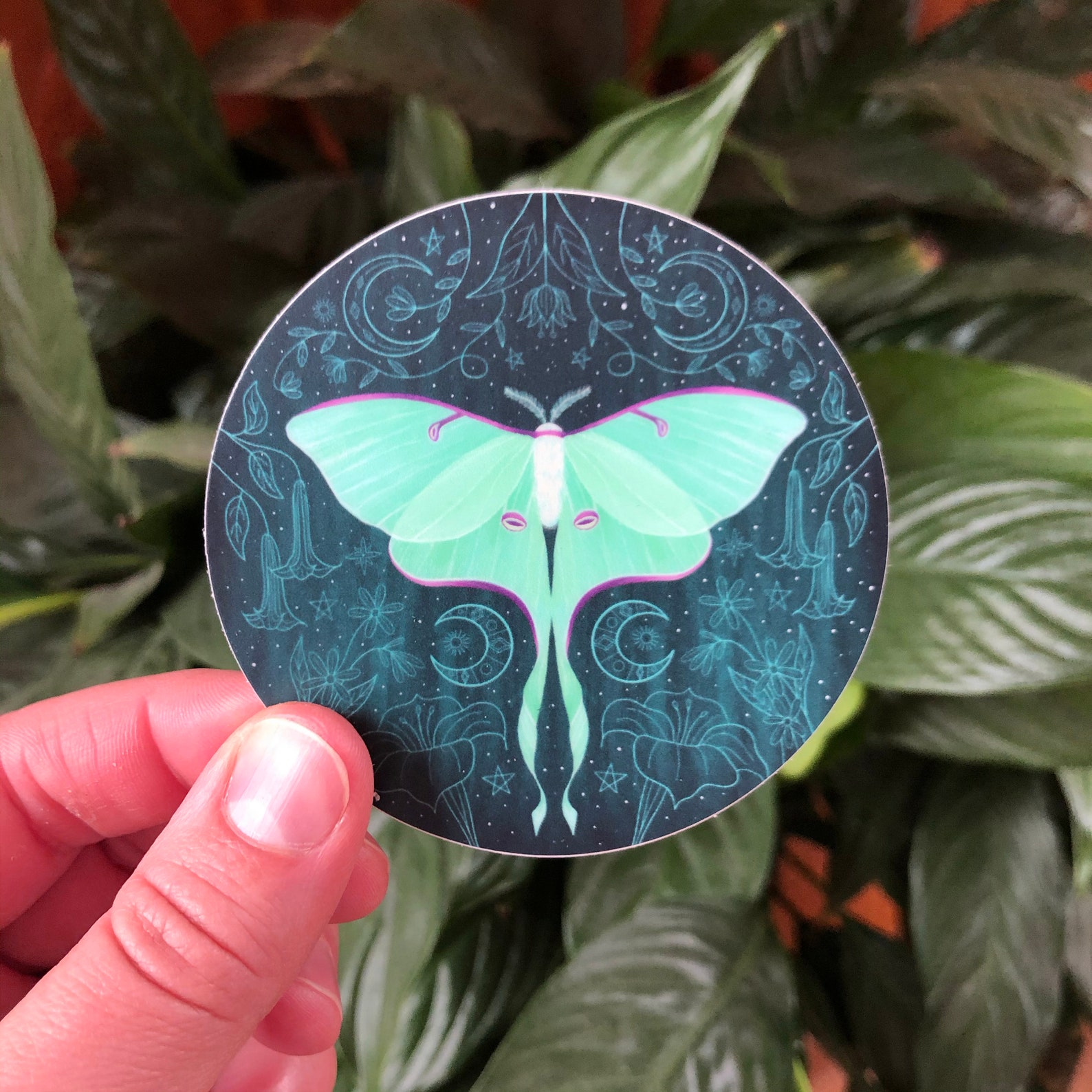 Vinyl Sticker, Luna Moth Sticker, Waterproof and Weather Resistant ...
