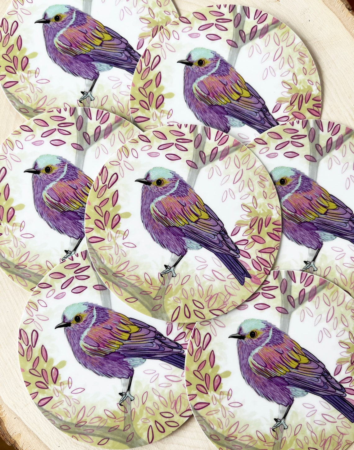 Vinyl Sticker Bird Sticker Colorful Bird Waterproof and - Etsy