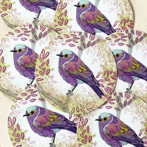 Vinyl Sticker, Bird Sticker, Colorful Bird, Waterproof and Weather ...