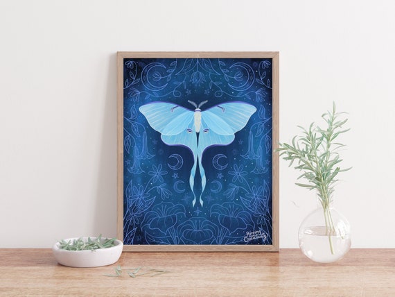 Blue Luna Moth Art Print Luna Moth Stampa di alta qualità | Etsy
