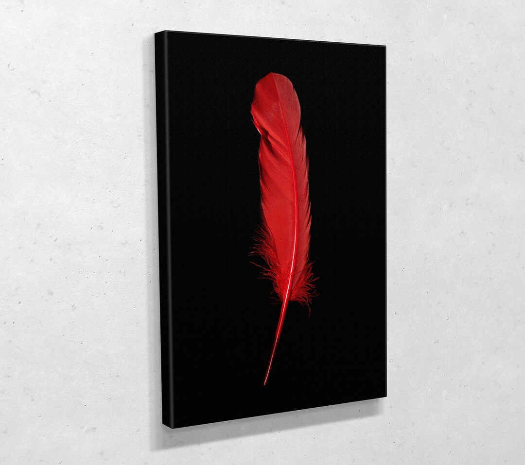 Red Feather Print on Canvas , Floating Frame Option, Modern Wall Art ...
