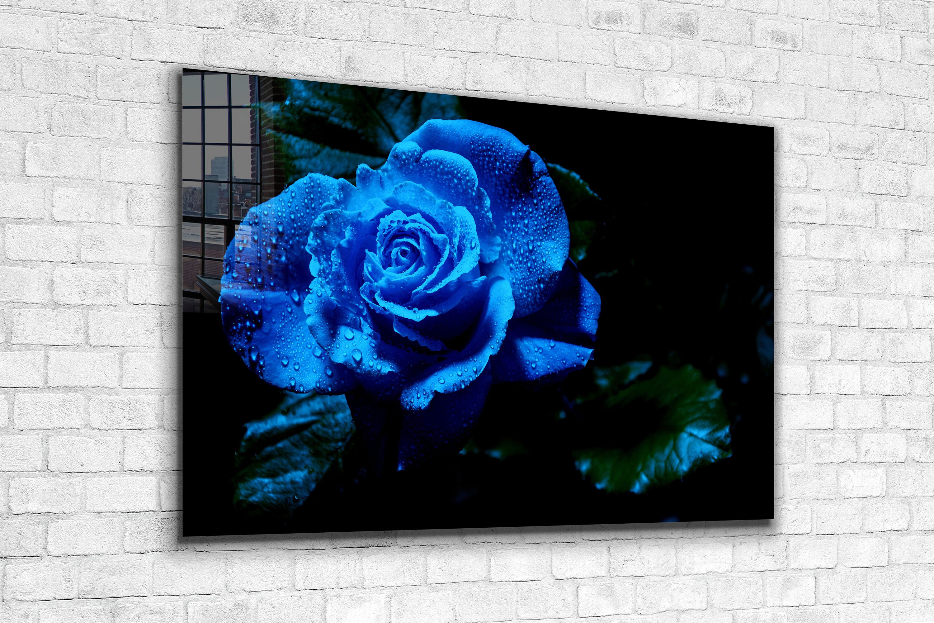 Abstract Blue Rose