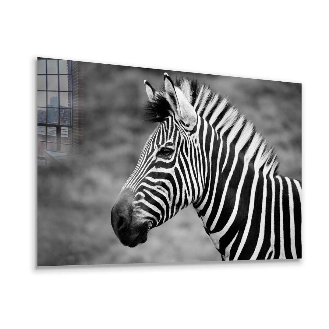 Glass Wall Art / Acrylic Glass Art / Floating Frame Option / Canvas ...