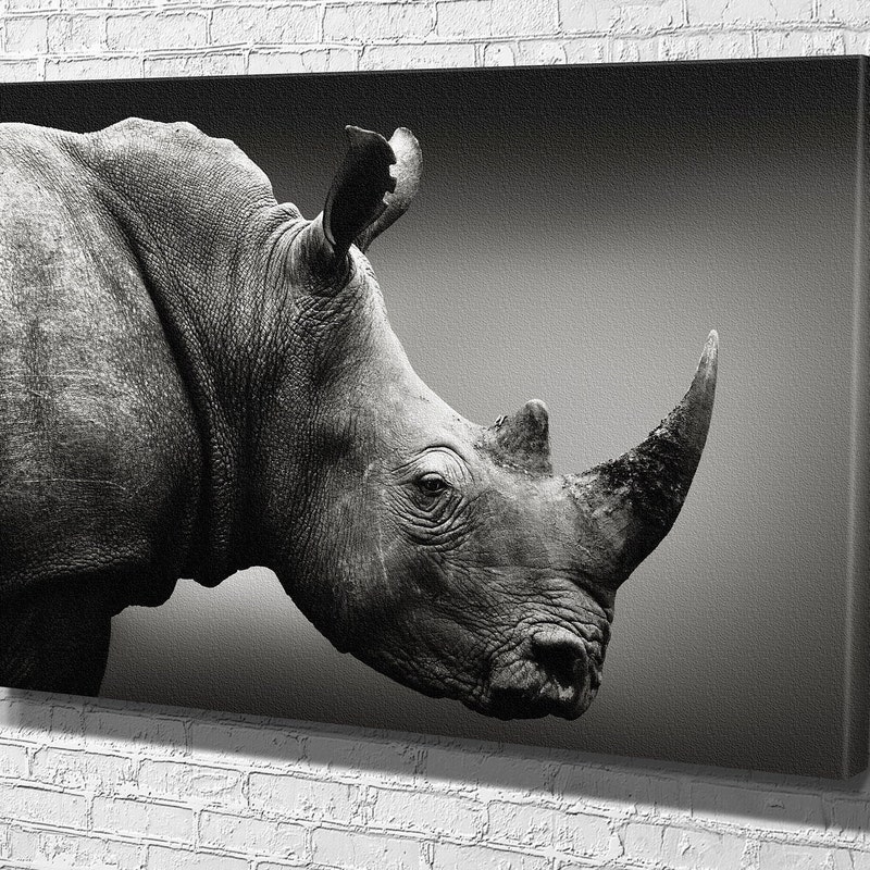 Rhino Print - Etsy