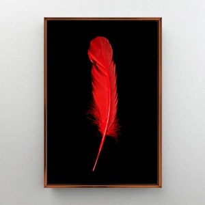 Red Feather Print on Canvas , Floating Frame Option, Modern Wall Art ...