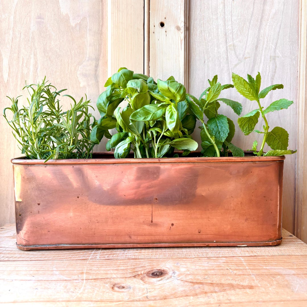 Vintage Copper Trough Planter, Brass & Copper Trough - Etsy UK