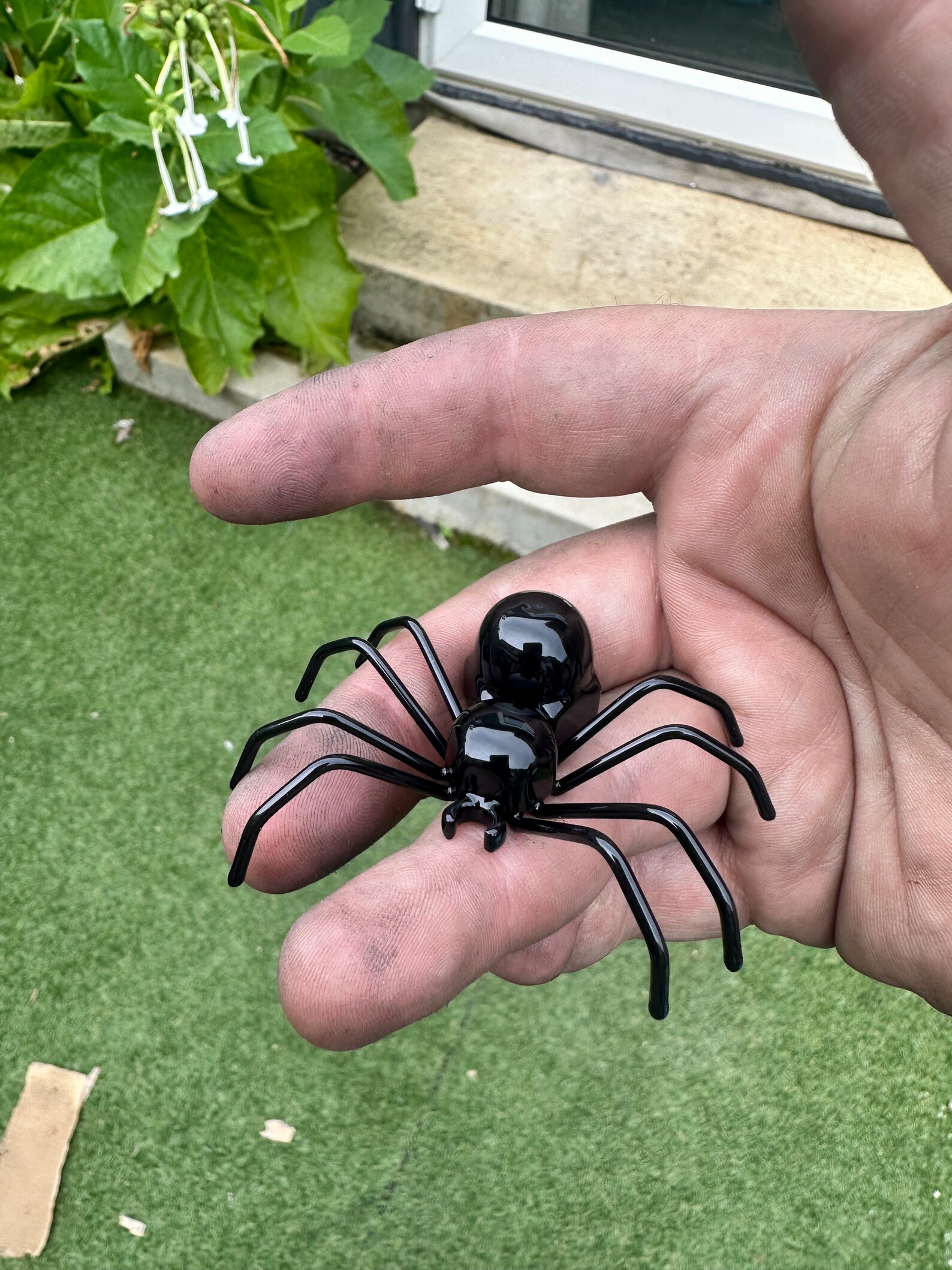 Gloss Black Spider. Made From Stainless Steel Dome Nuts. Scary ...