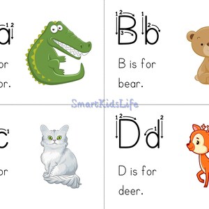 Zoo-phonics Alphabet Chart Flashcards Tracing Preschool Kindergarten ...