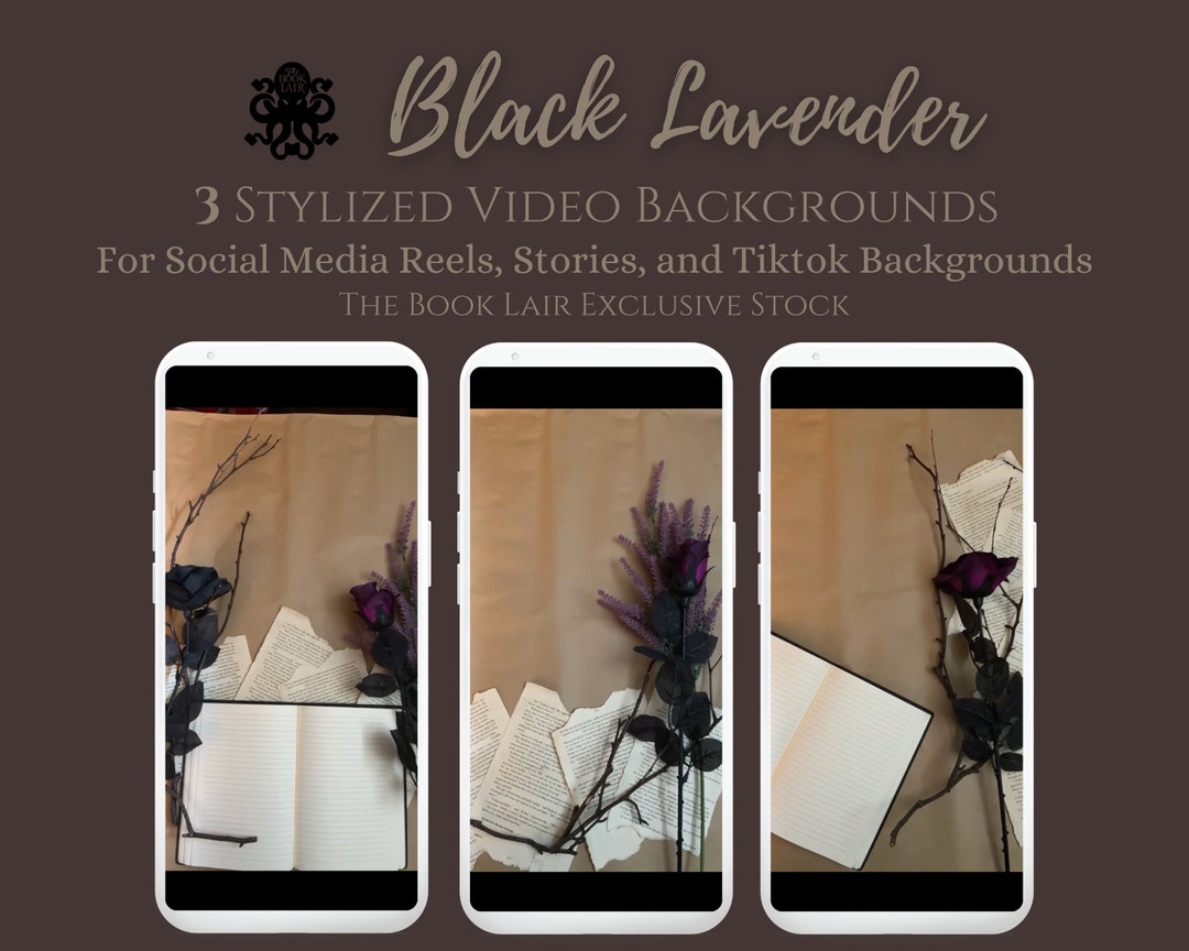 Instagram Reel Template | Facebook Reels | Tiktok Background | Reel ...