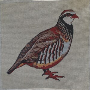 Red Legged Partridge Needlepoint Kit - Etsy