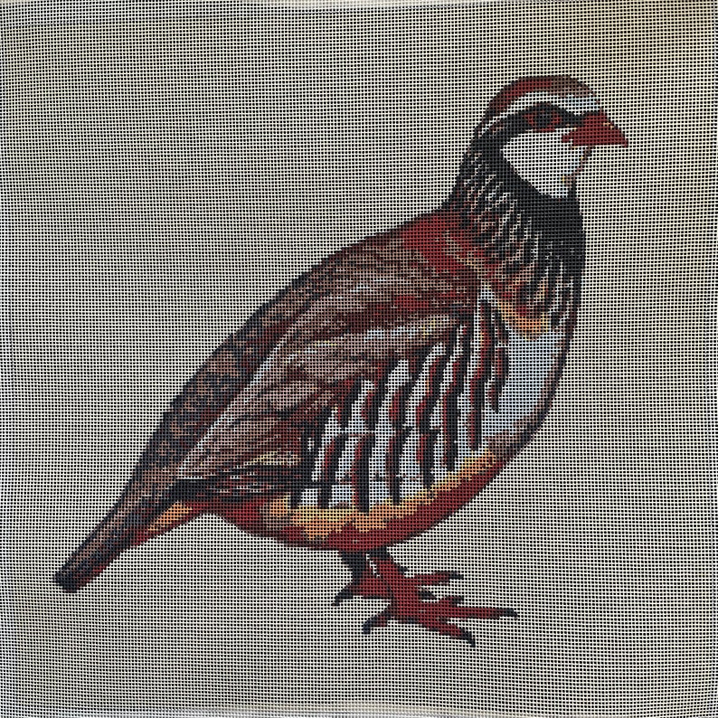 Red Legged Partridge Needlepoint Kit - Etsy