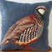 Red Legged Partridge Needlepoint Kit - Etsy