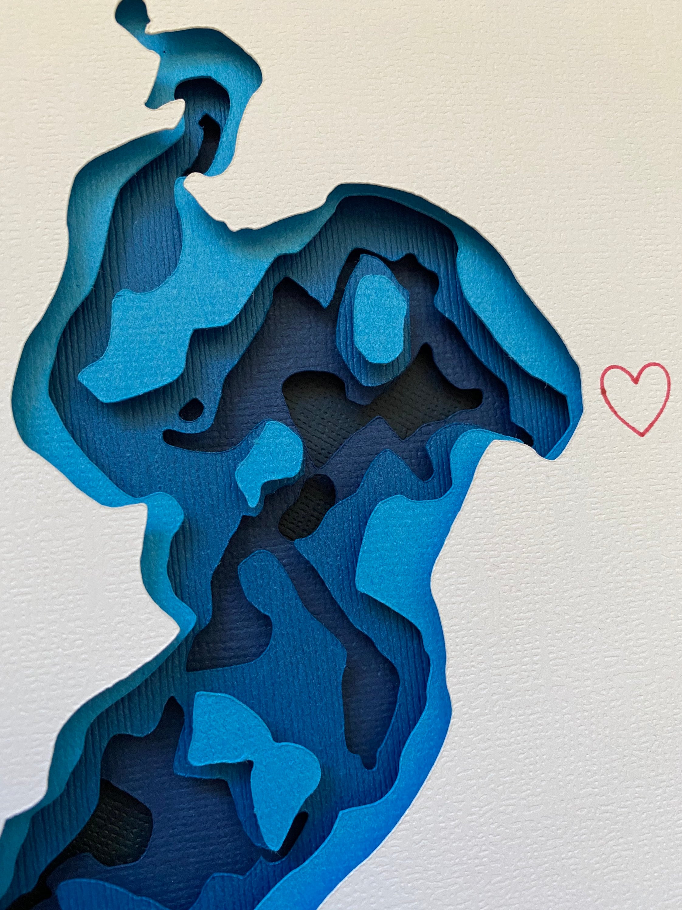 Gull Lake Minnesota Bathymetric Topography Depth Chart | Etsy