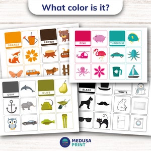 Color Study and Sorting Kit - Develops Perception, Logic and Memory ...