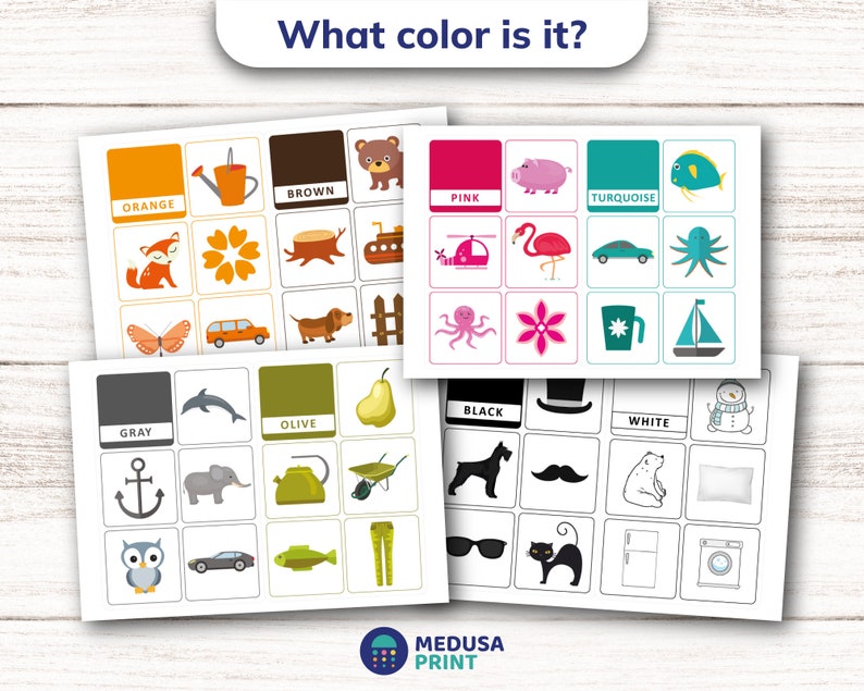 Color Study and Sorting Kit - Develops Perception, Logic and Memory ...