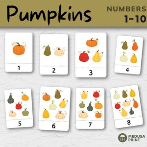 Numbers Flash Cards | Pumpkin Activities for Kids | Number Cards 1-10 ...
