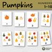Numbers Flash Cards | Pumpkin Activities for Kids | Number Cards 1-10 ...