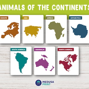 Discover Animals From Around the World: Educational Continent and ...