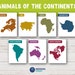 Discover Animals From Around the World: Educational Continent and ...