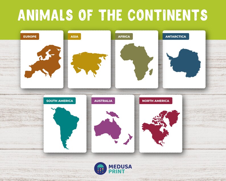Discover Animals From Around the World: Educational Continent and ...