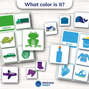 Color Study and Sorting Kit - Develops Perception, Logic and Memory ...