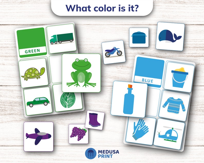 Color Study and Sorting Kit - Develops Perception, Logic and Memory ...