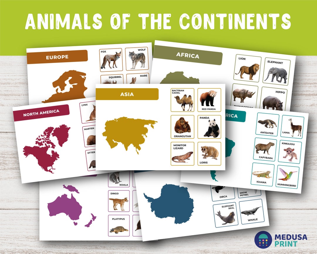 Discover Animals From Around the World: Educational Continent and ...